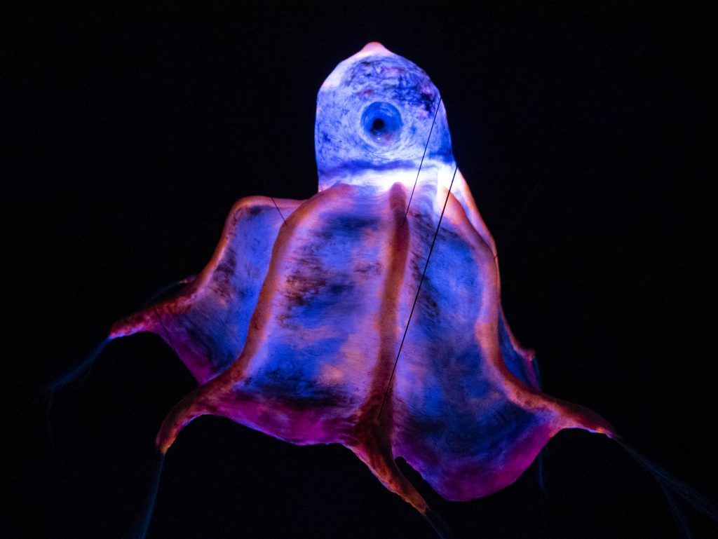 Mutatis Mutandis ! - Festival de Casteliers